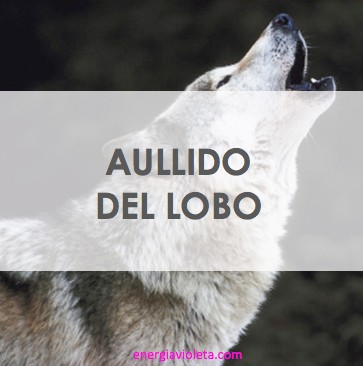 AULLIDO DEL LOBO