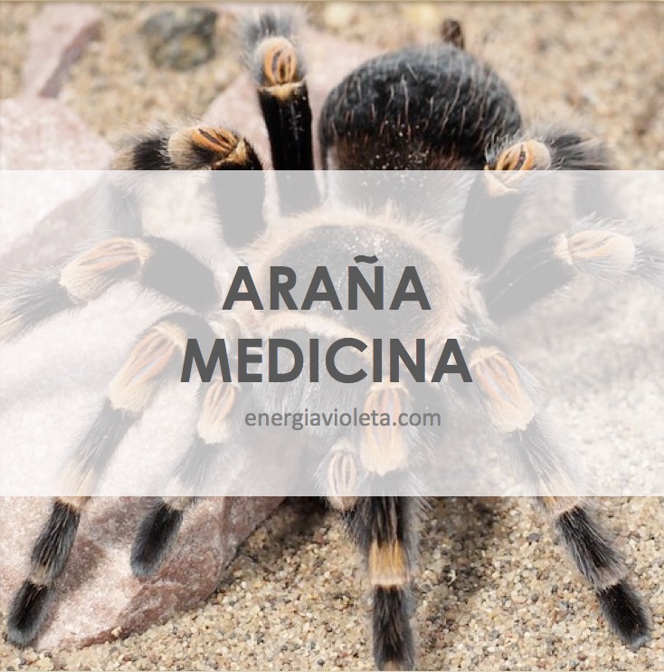 MEDICINA DE LA ARAÑA - INICIACIÓN